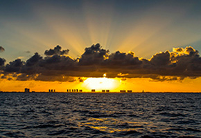 Sun Pacific | MÉXICO - Baja California